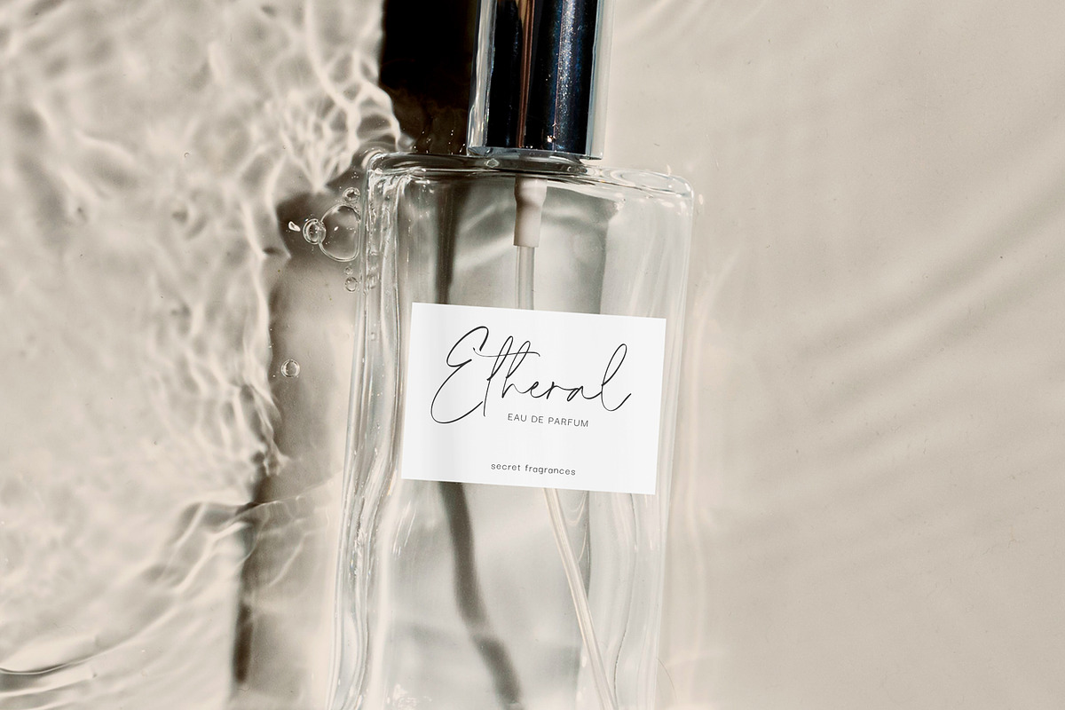 Fashioniqa - Modern Signature Font, a Handwritten Font by Timurtype