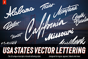 USA states vector lettering elements, an Illustration by Shimanov Types
