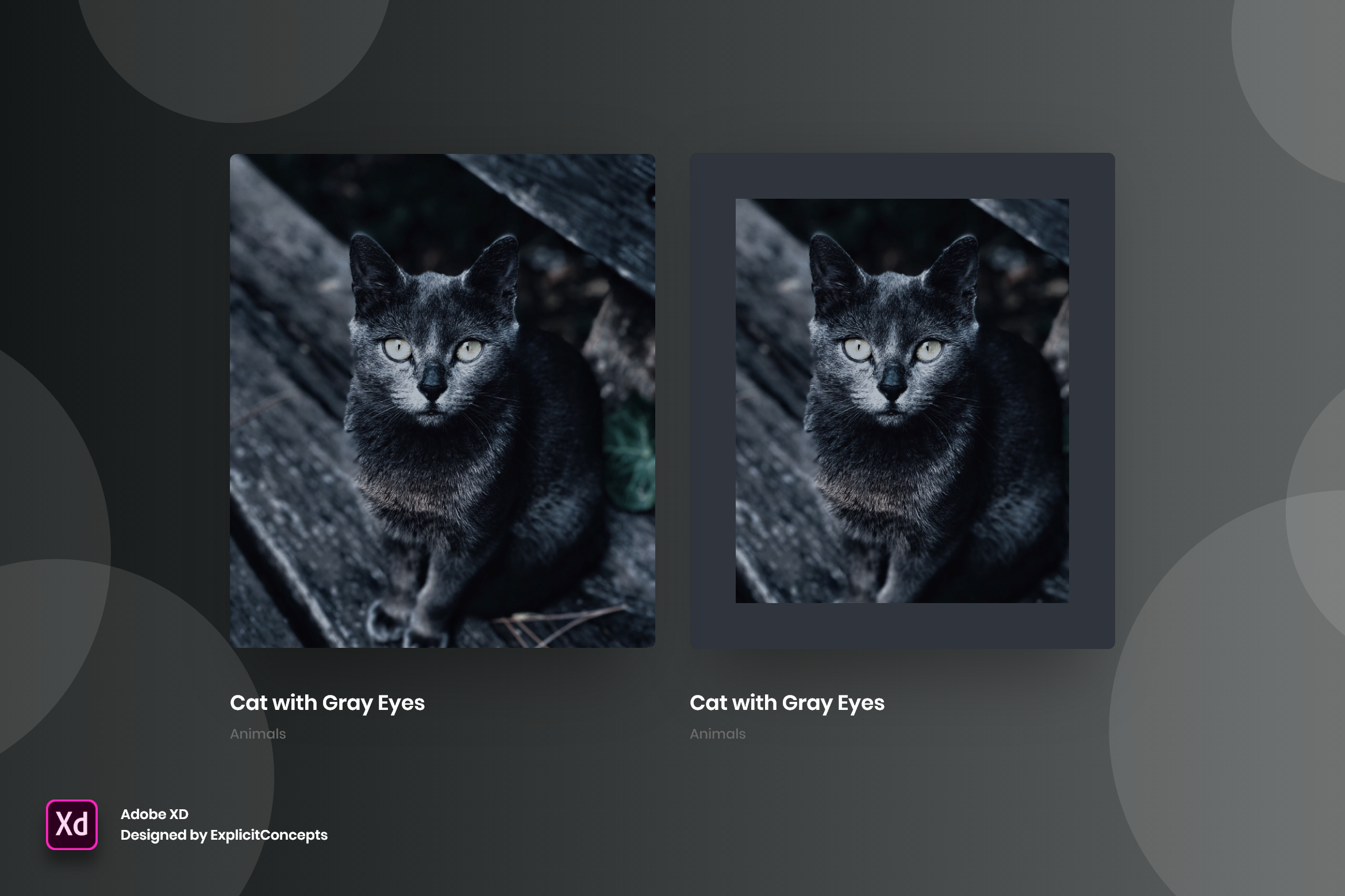 Portfolio Hover State Vol 05 - Adobe, a Landing Page Template by ...