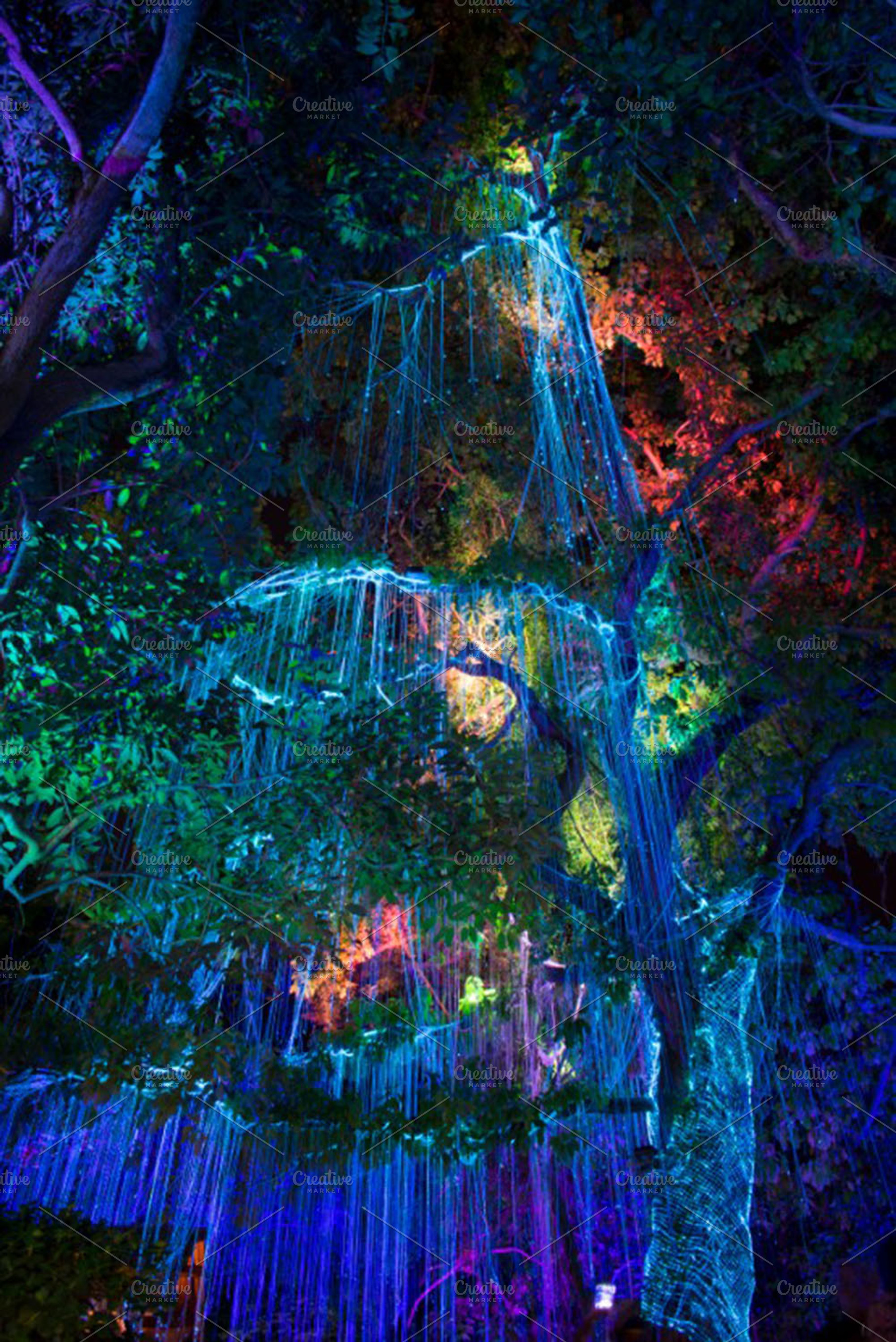 Avatar tree, a Nature Photo by Roll Kader