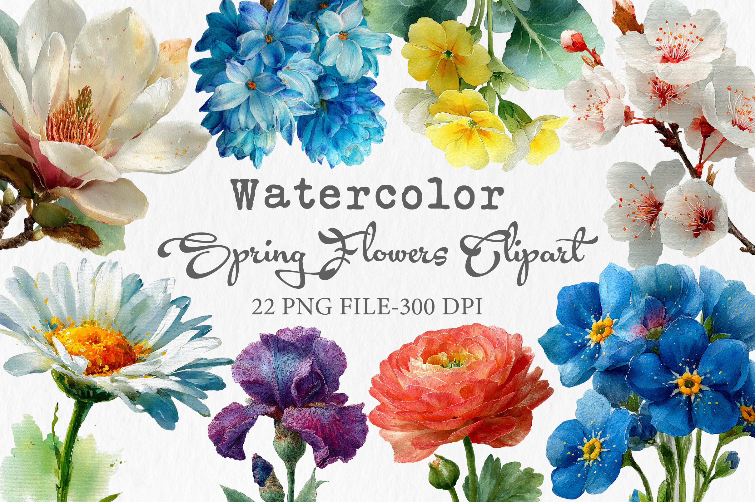 Watercolor Spring Flowers Clipart, an Illustration by Libby Wishes
