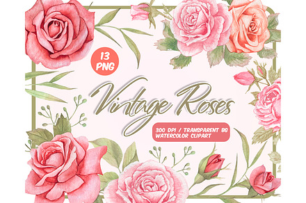 Watercolor red rose flower clipart | Creative Market