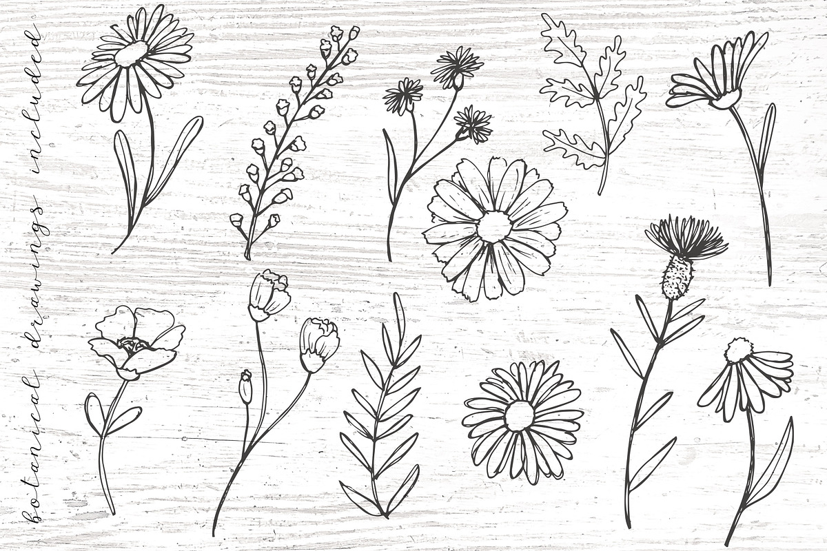 Whimsical Handwritten Font Bundle, a Handwritten Font by Kellie Jayne ...