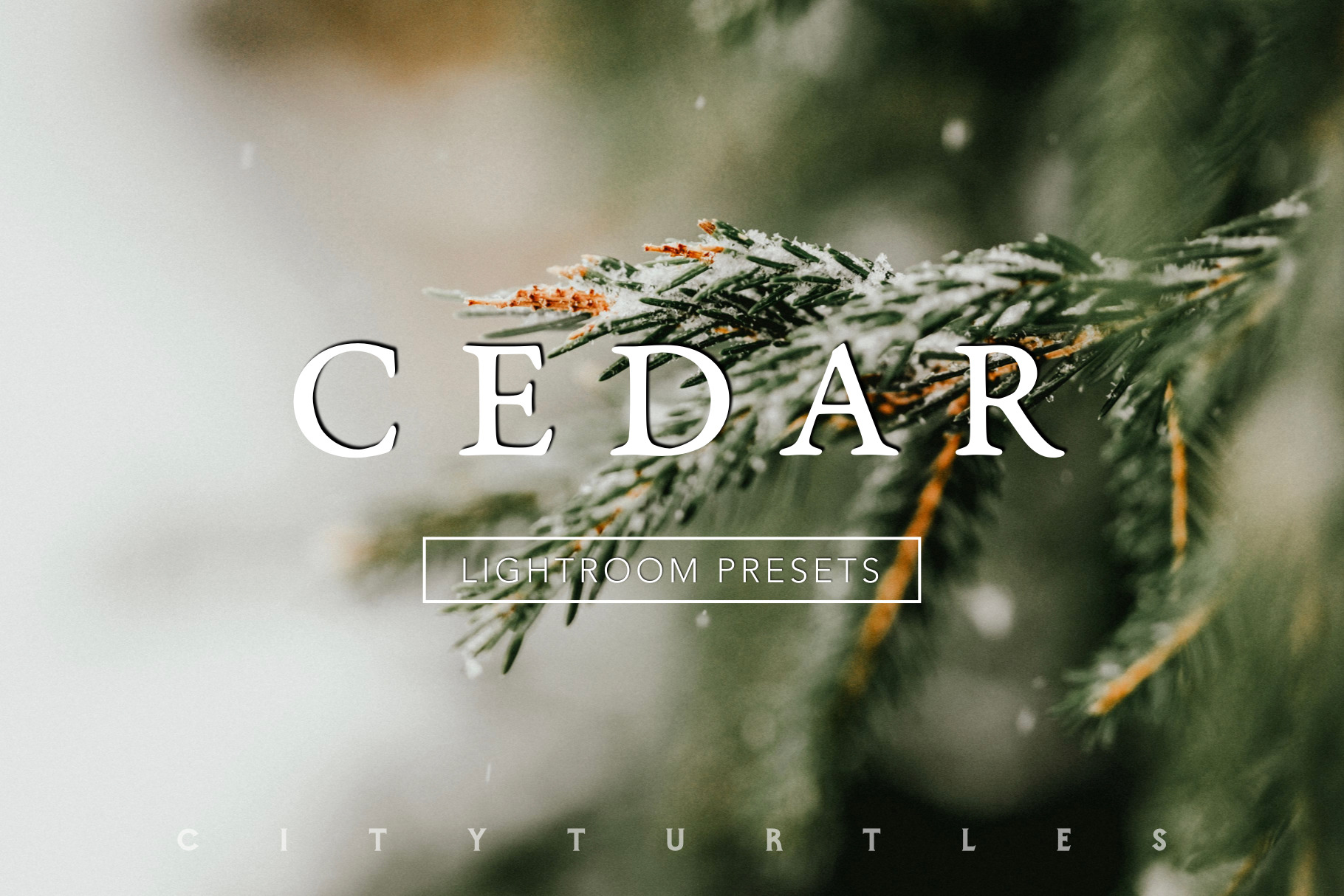 CEDAR Subtle Moody Lightroom Presets, an Action Add-On by CityTurtles