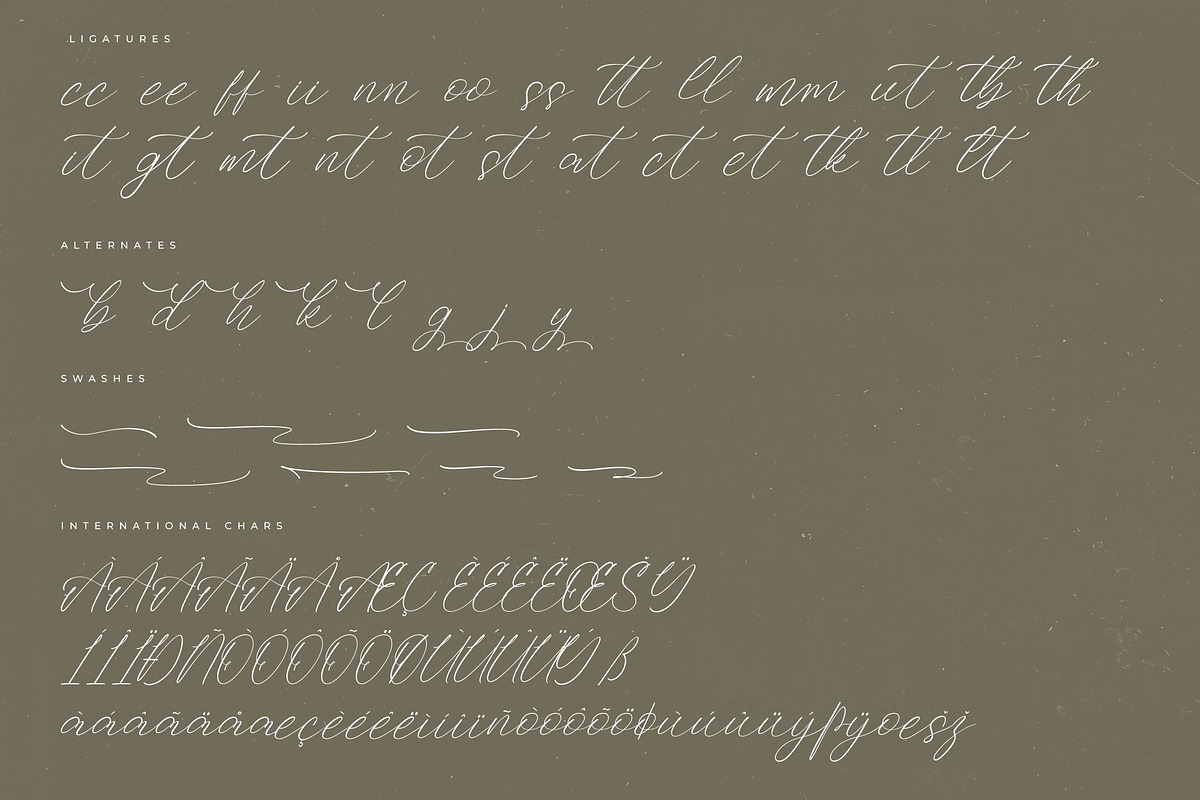 Antonila Bastian Modern Freestyle, a Script Font by Letterena Studios Script