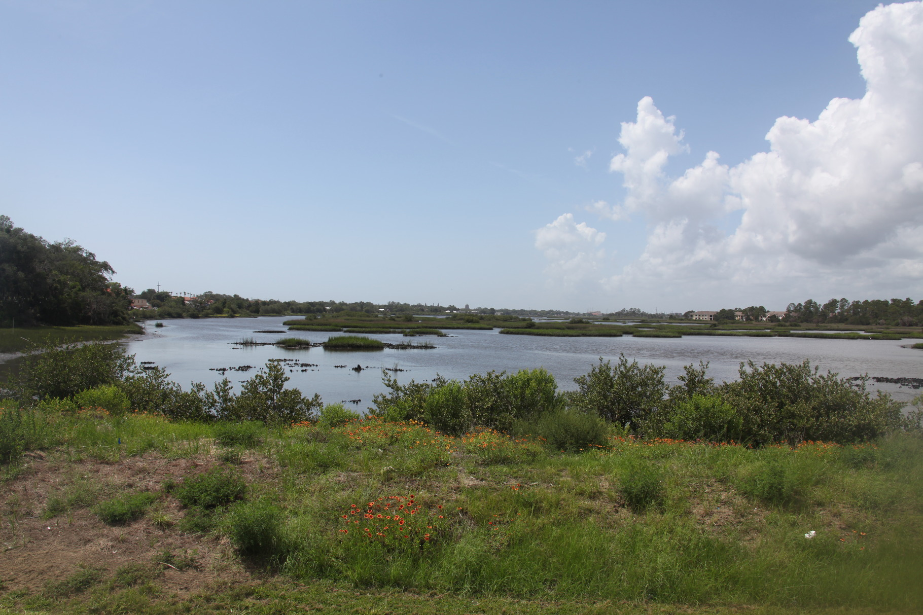 Marshes of north florida featuring marsh, bog, and swamp, a Nature ...