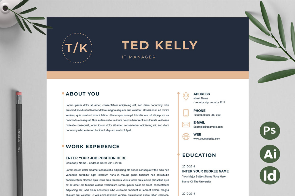 Clean Resume Design for Freshers