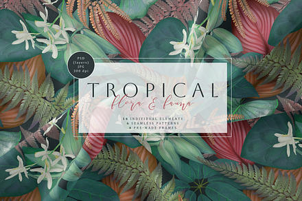 Tropical shapes | Graphic Patterns ~ Creative Market