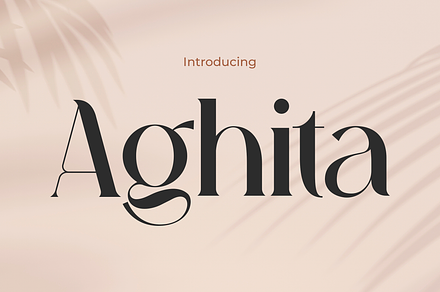 Aqala Display Font, a Serif Font by Typetemp Studio
