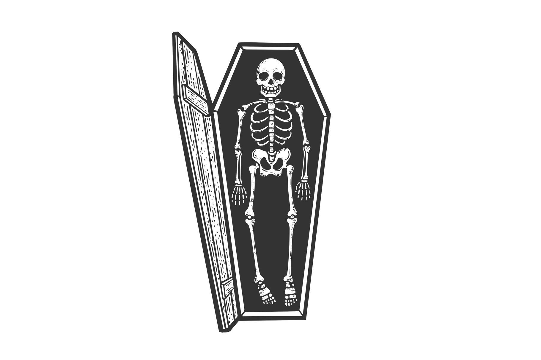 skeleton in coffin sketch vector, an Object Illustration by AlexArt