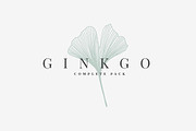 Ginkgo Complete Pack, a Presentation Template by Studio Sumac ...
