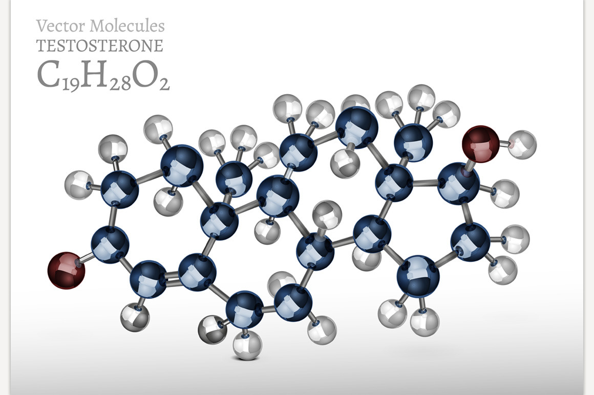 Testosterone Molecule, an Education Illustration by Anna's Shop