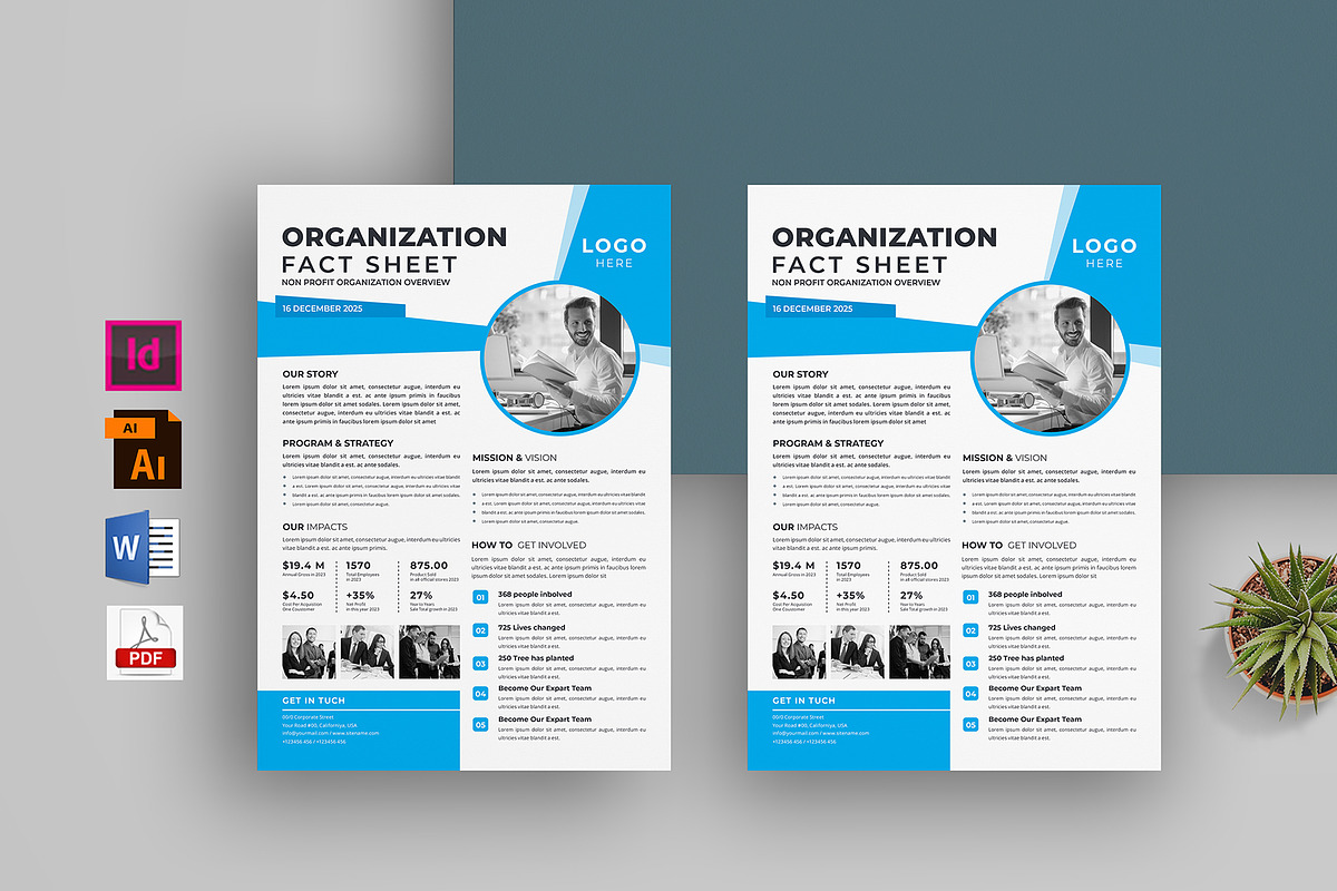 Nonprofit Organization Fact Sheet, a Flyer Template by obayes