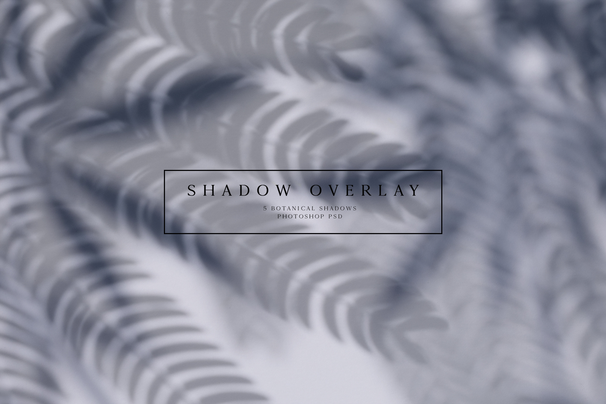 Botanical Shadow Overlays, a Texture Graphic by Milka