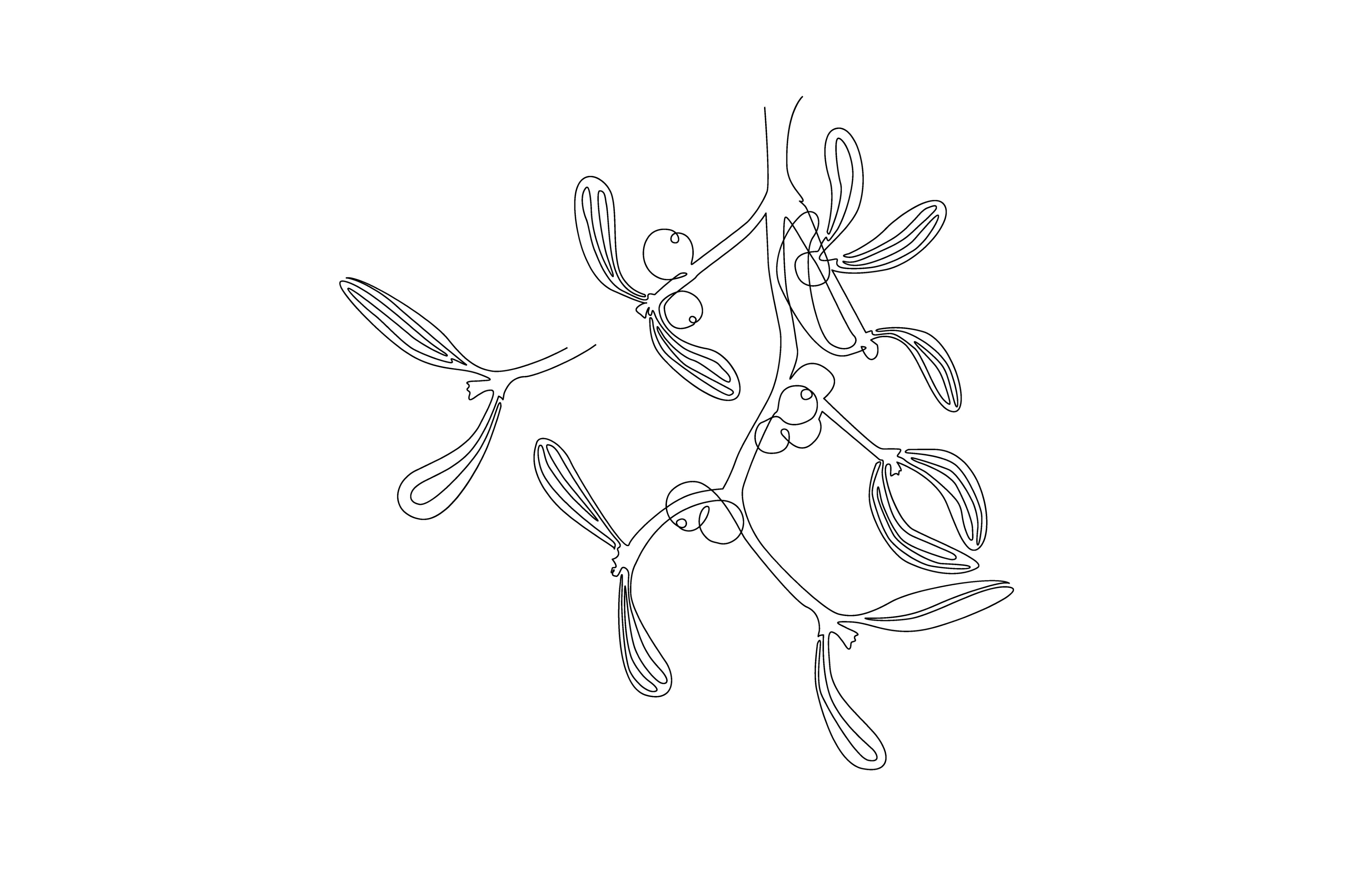 Continuous one line drawing, an Object Graphic by Toltemara