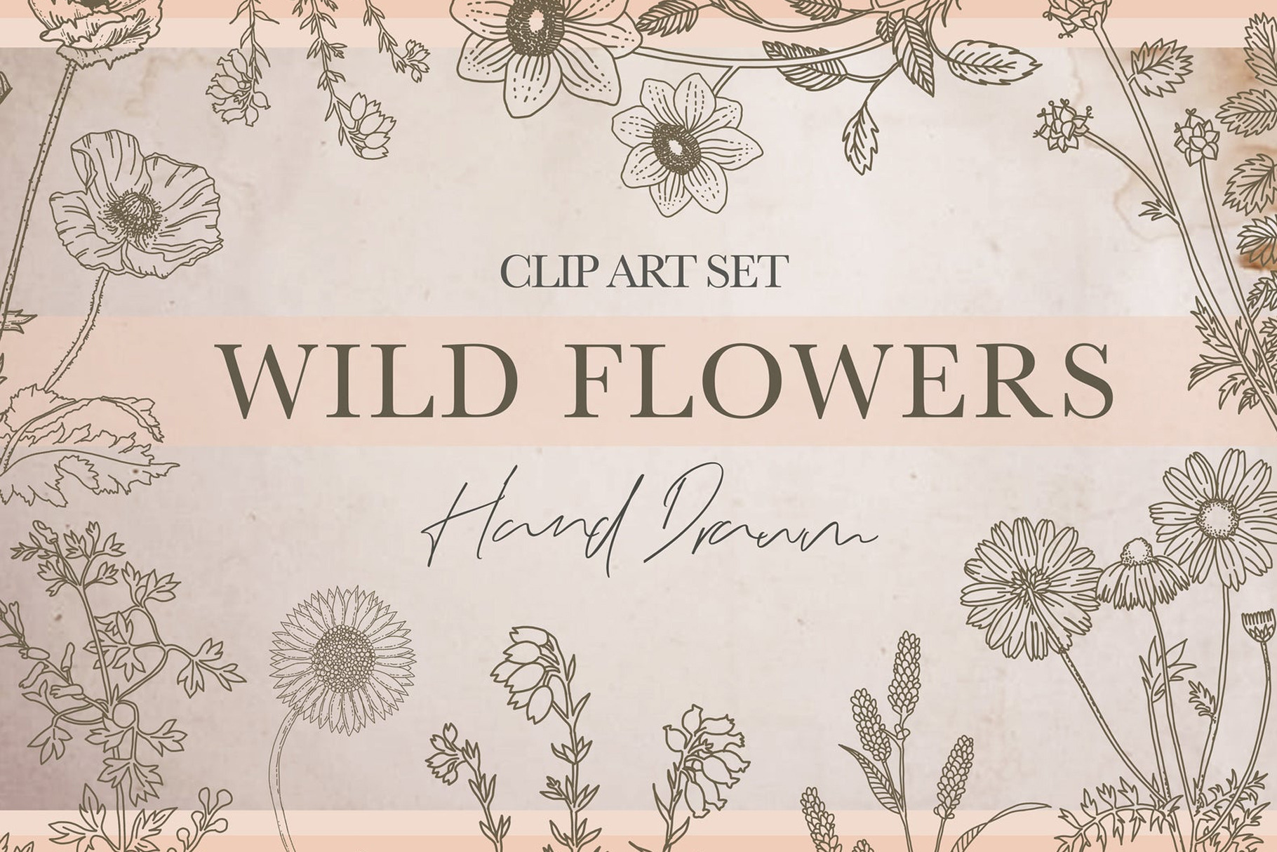 Botanical Clip Art Wild Flowers PNG, an Illustration by MakeMyPlaceDesign