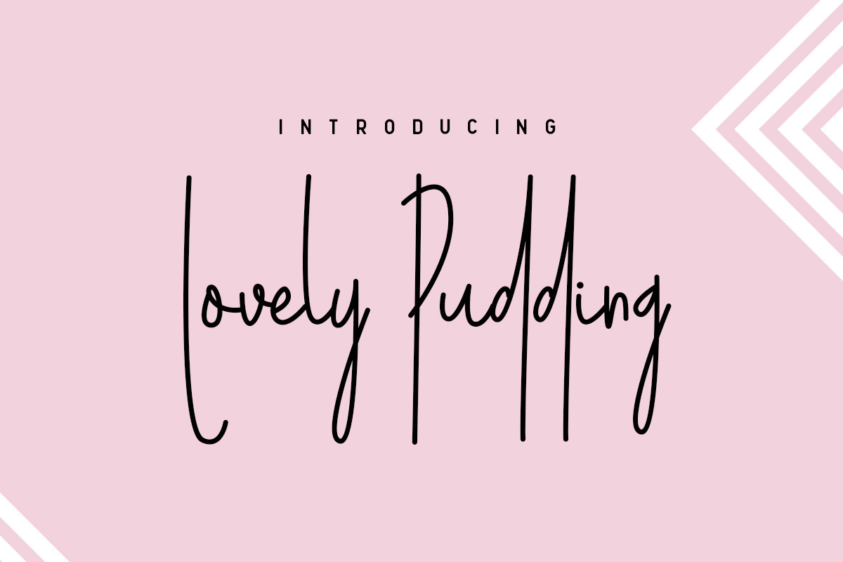 Pudding, a Script Font by FactoryType