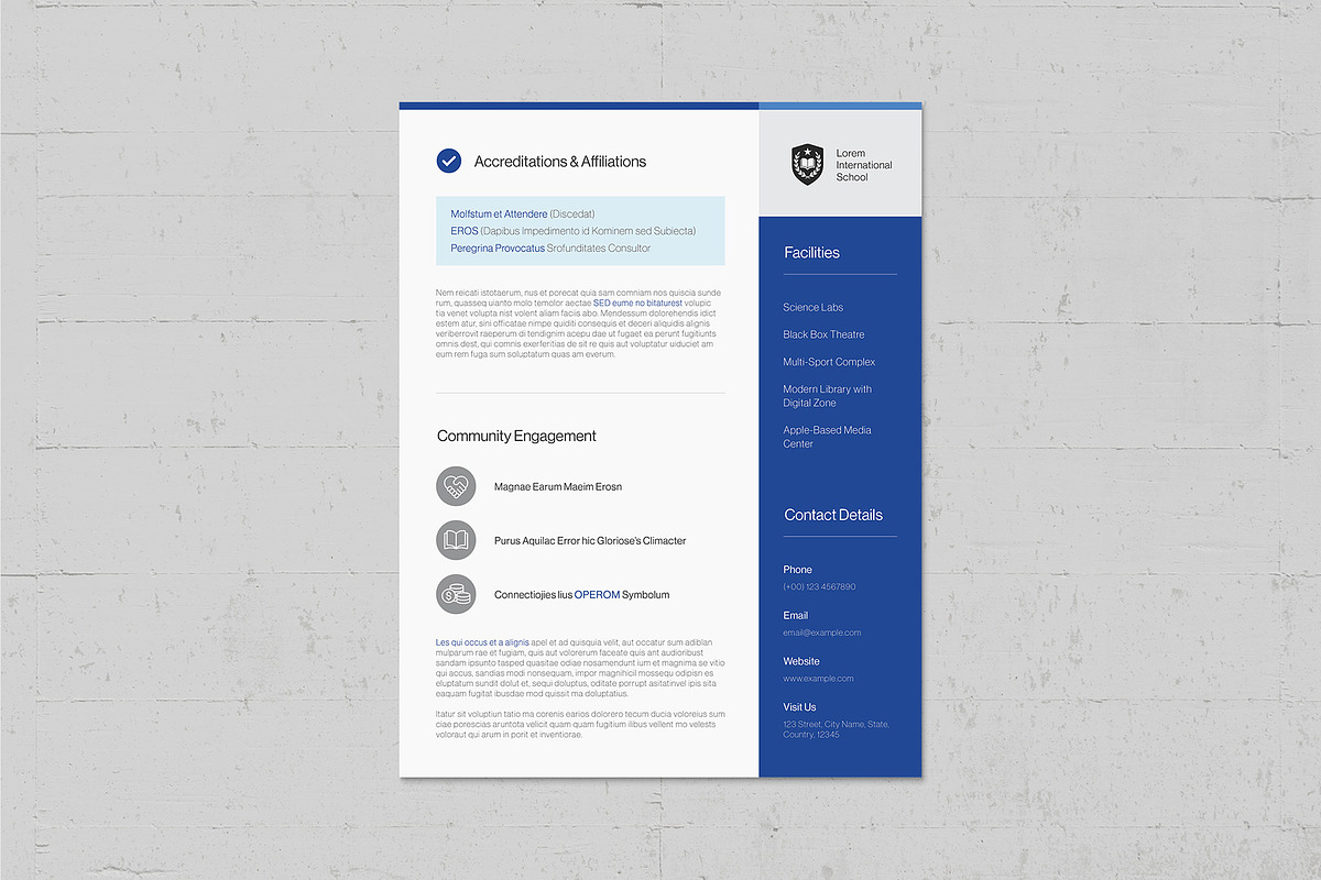 Fact Sheet Template, a Flyer Template by BrandPacks
