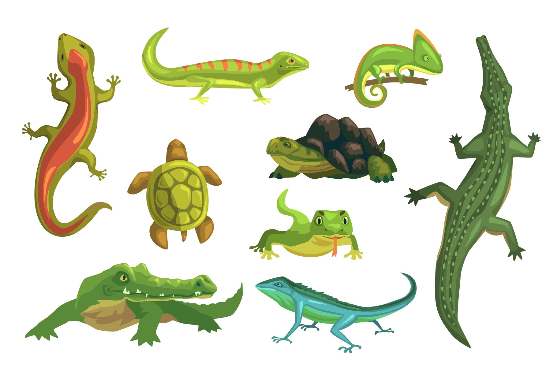 Reptiles and amphibians set of vector Illustrations | Animal ...