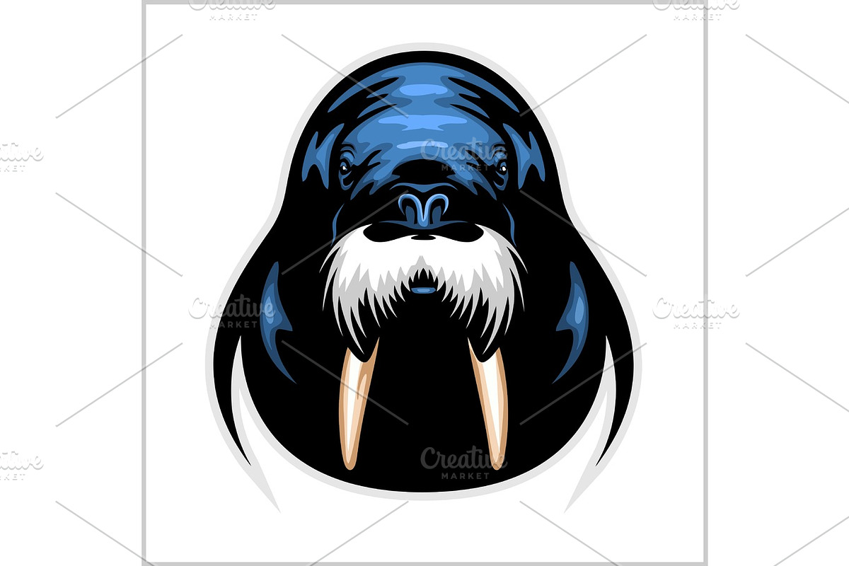 Vector Walrus logo template for sport teams, business etc., an Animal ...