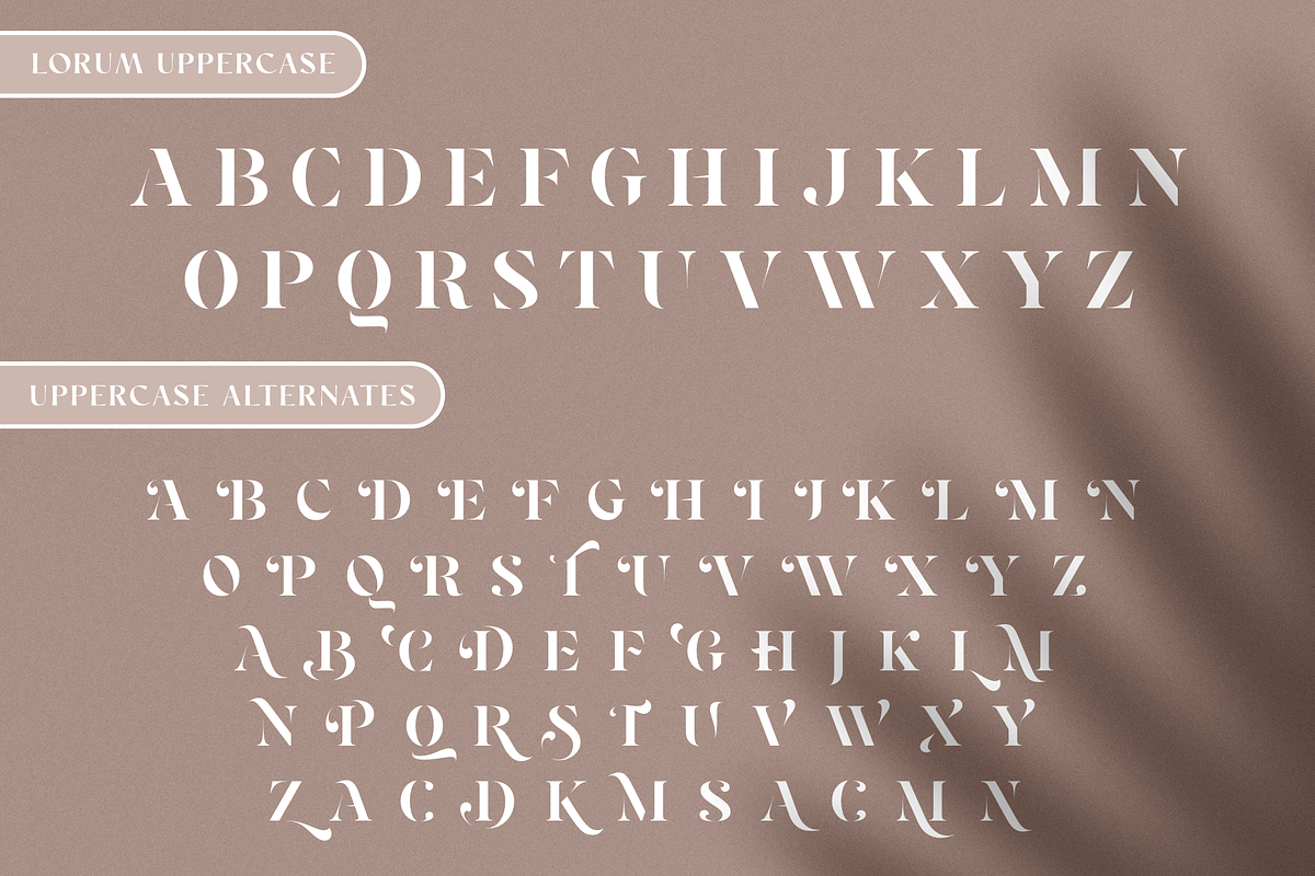 Lerum, a Serif Font by Larin Type Co.