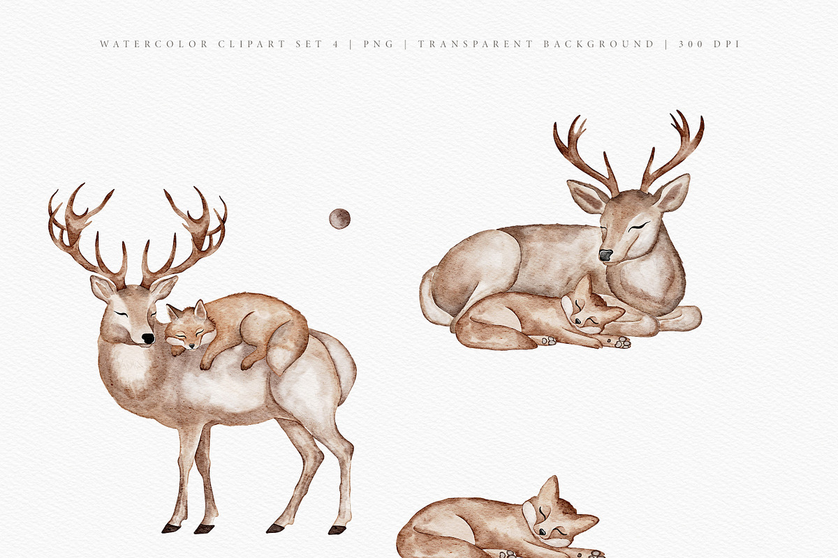 Woodland Animal Digital Clipart Bundle