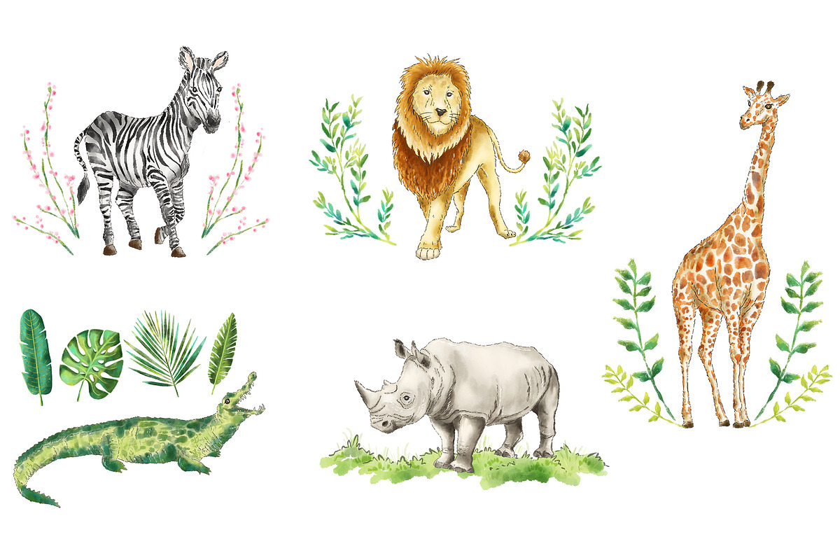 Safari Jungle African animal clipart, an Animal Illustration by Magic ...