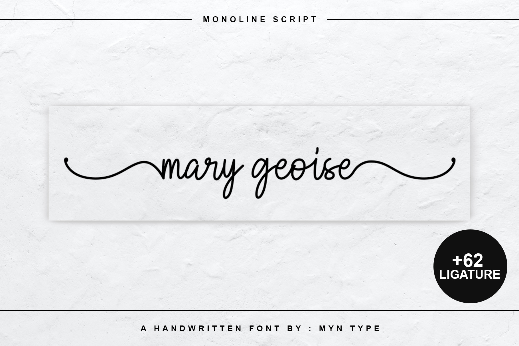 Mary Geoise - Handwritten Font, a Script Font by Myn Type