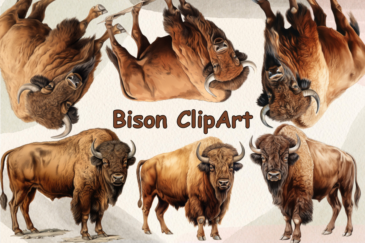 Bison ClipArt, an Animal Illustration by Digital Xpress