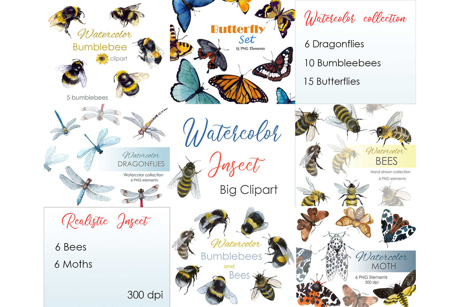 Watercolor insect clipart Bee png, an Illustration by KomtsyanTatyanaArt