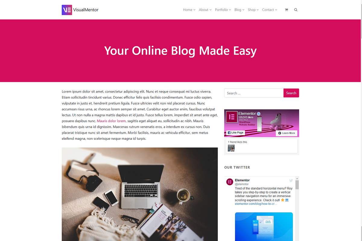 VisualMentor Elementor WordPress Theme