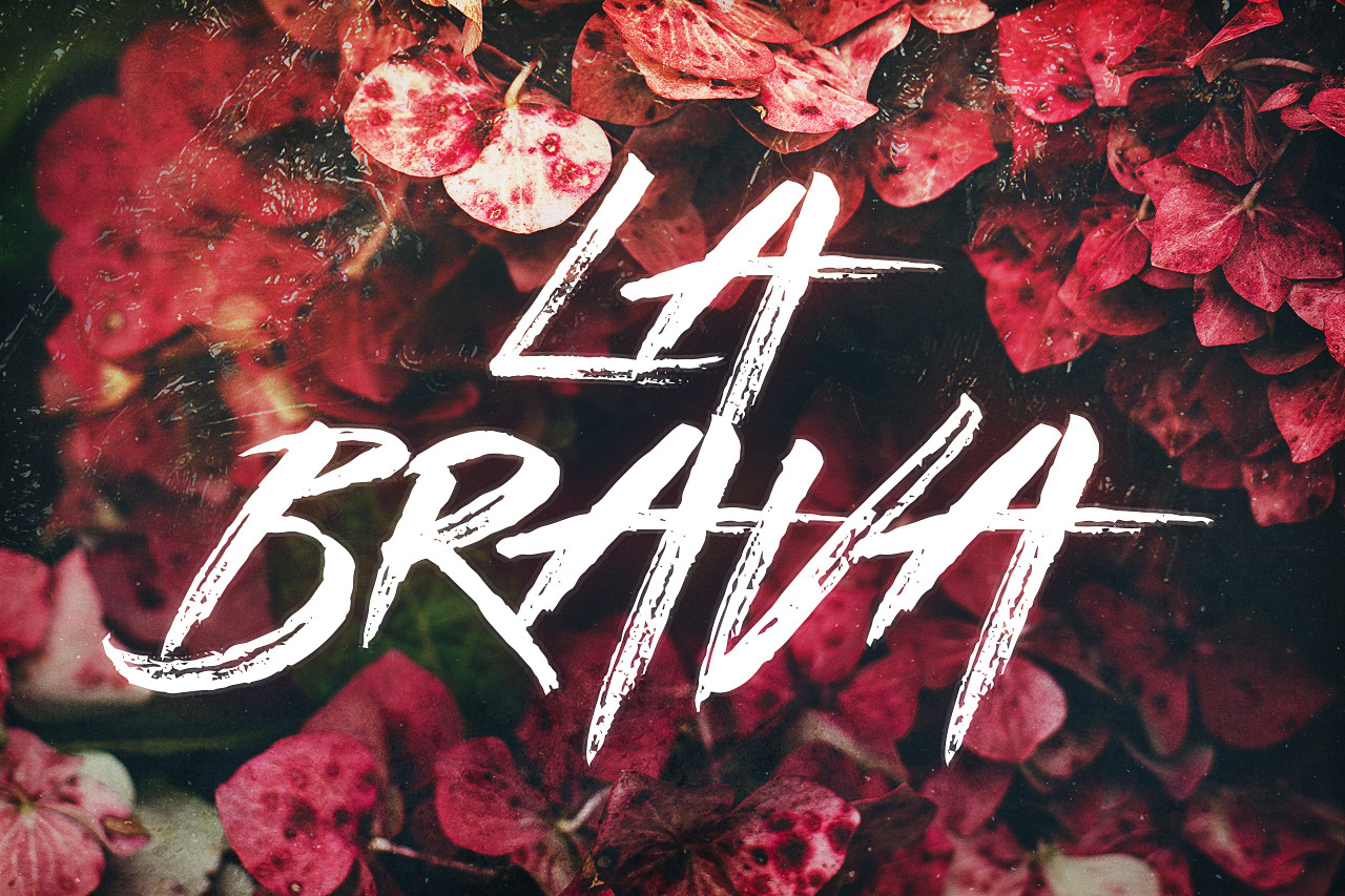 La Brava - Typeface, a Font by Layerform Design Co.