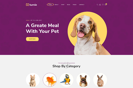 Animal - Pet Care HTML5 Template | Bootstrap Themes ~ Creative Market