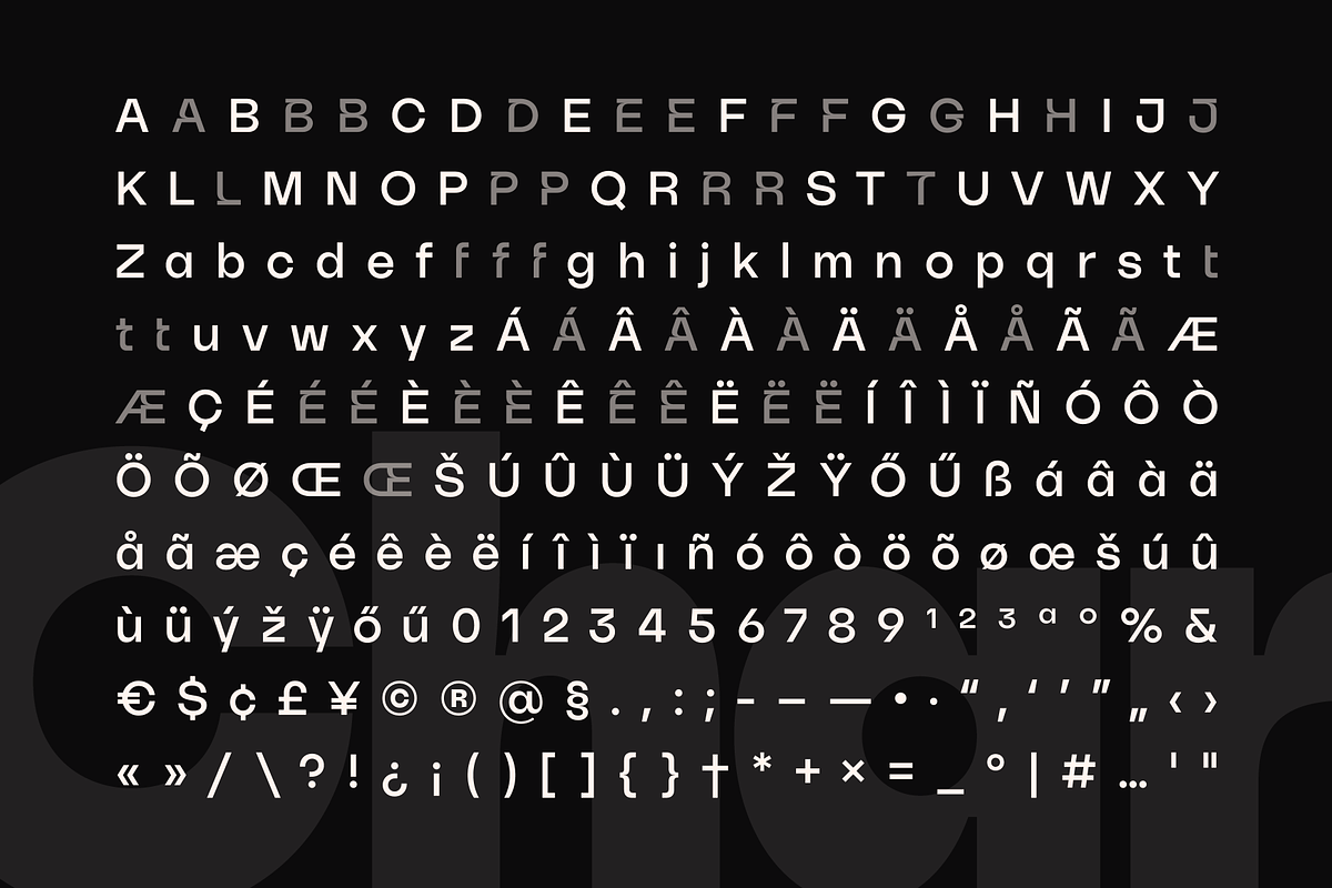 Ratch Font Family, a Sans Serif Font by Arbuz
