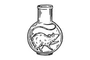 Rat animal in laboratory flask, an Animal Illustration by AlexArt