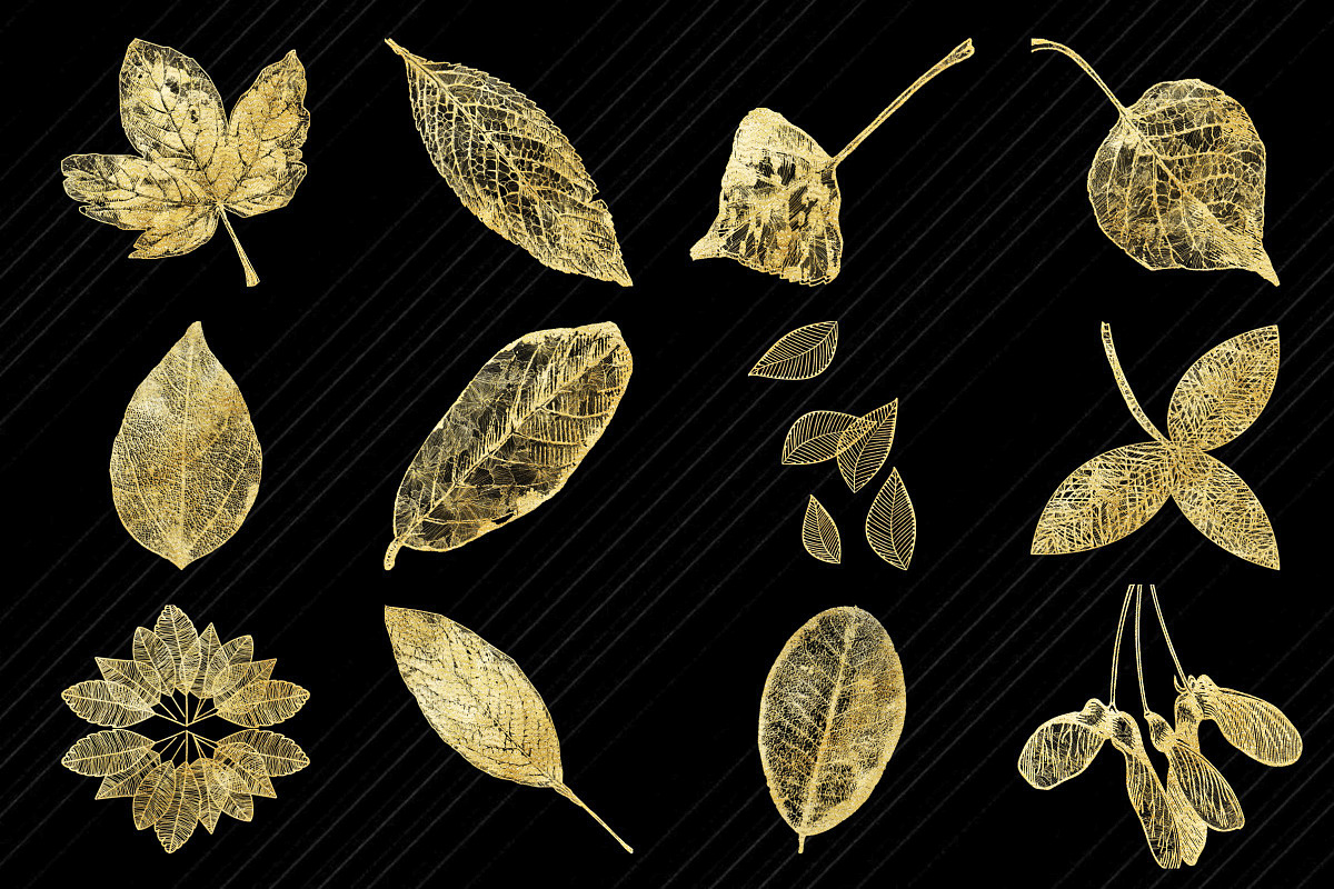 Gold Foil Skeleton Leaf Clip Art, an Illustration by ...