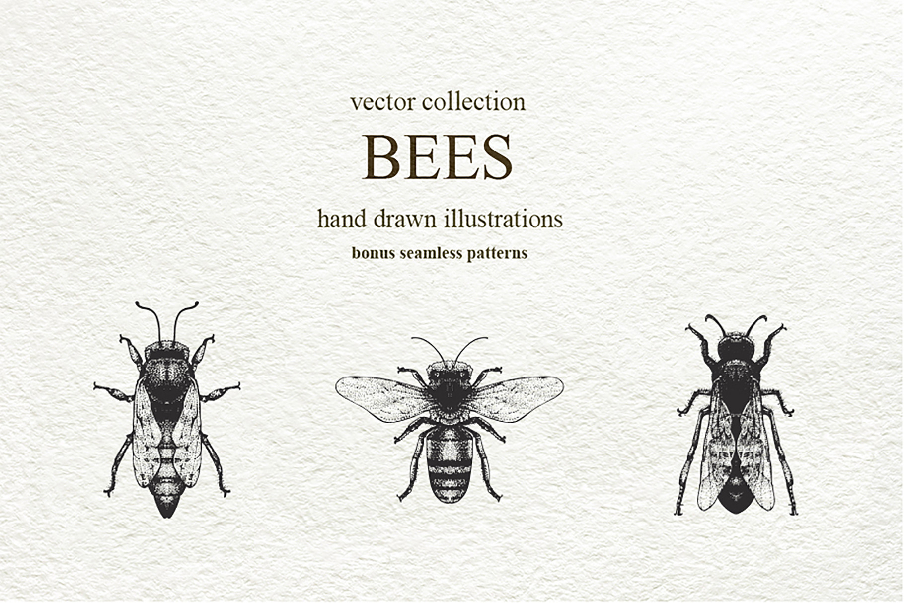 Bee Vector Collection, an Illustration by Lubov Illustrations Shop
