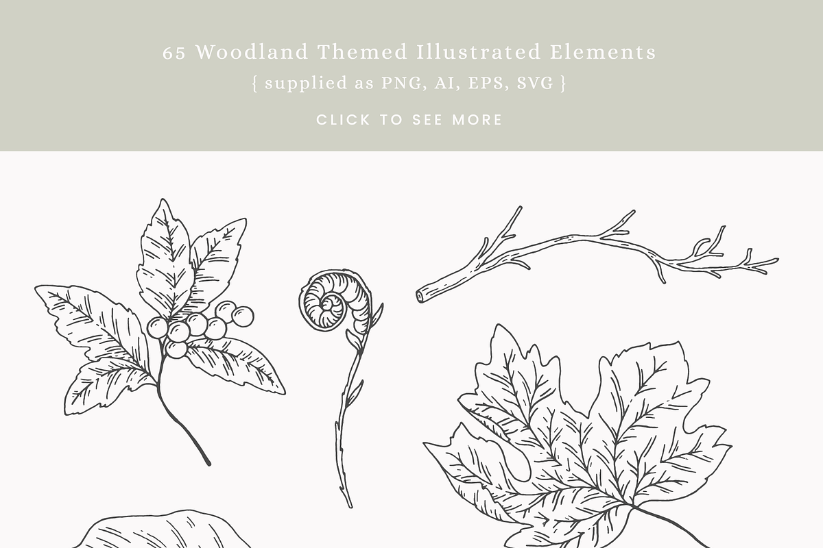 Woodland Walk Vectors, an Illustration by Emma Webb Studio