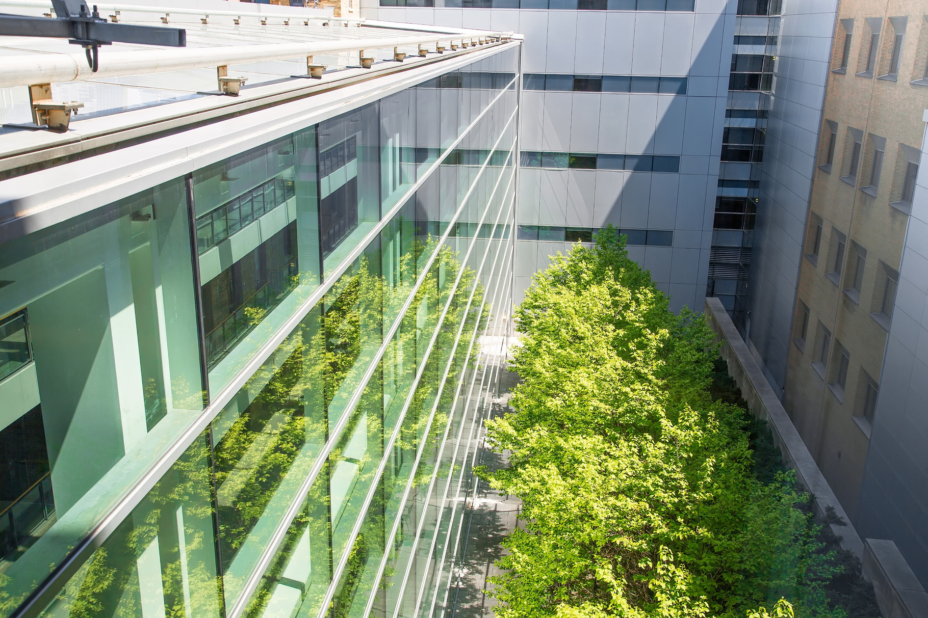 Technology innovation hub featuring toronto, downtown, and office, an ...