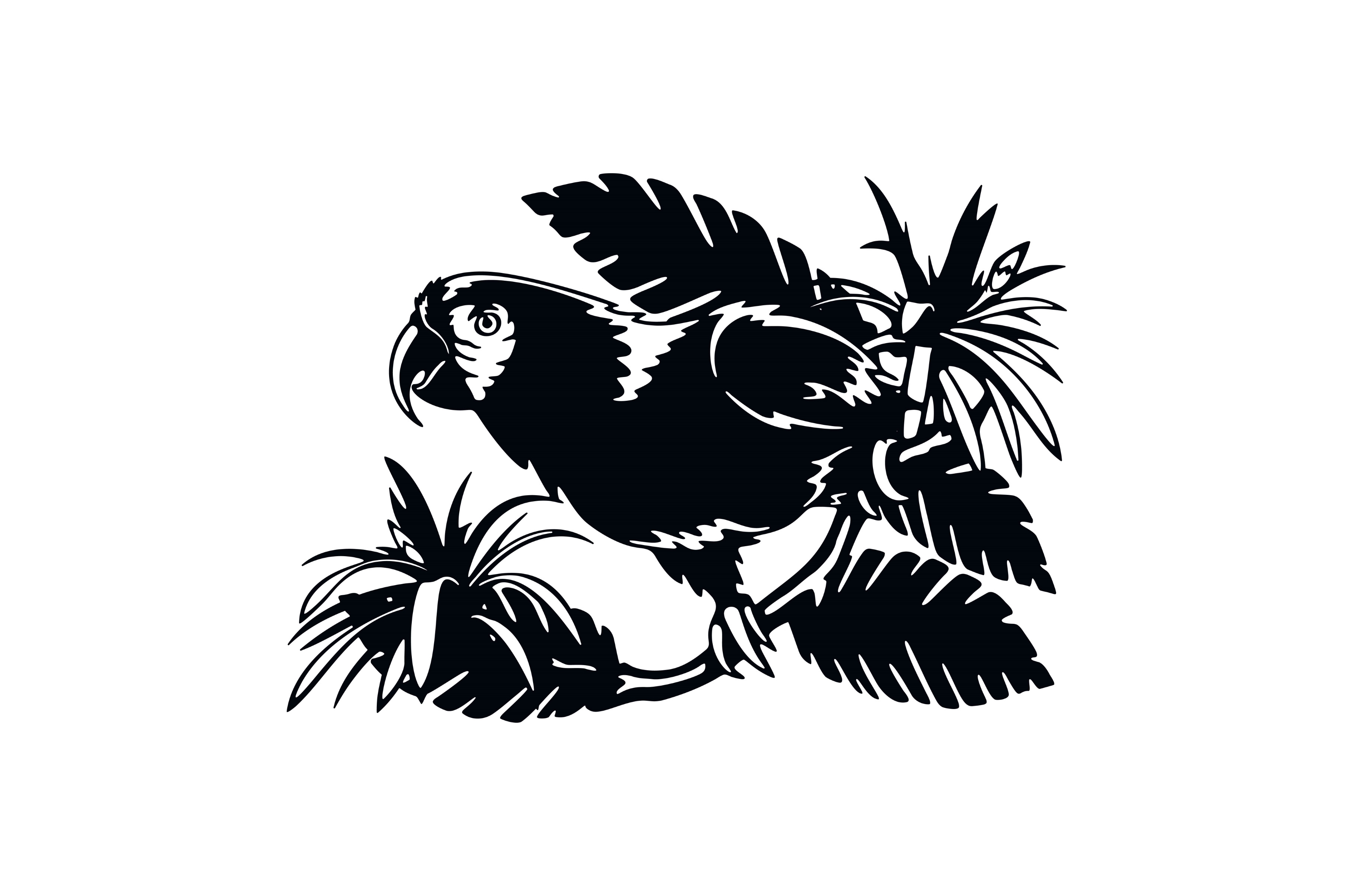 Parrot bird, African Stencils - | Animal Illustrations ~ Creative Market
