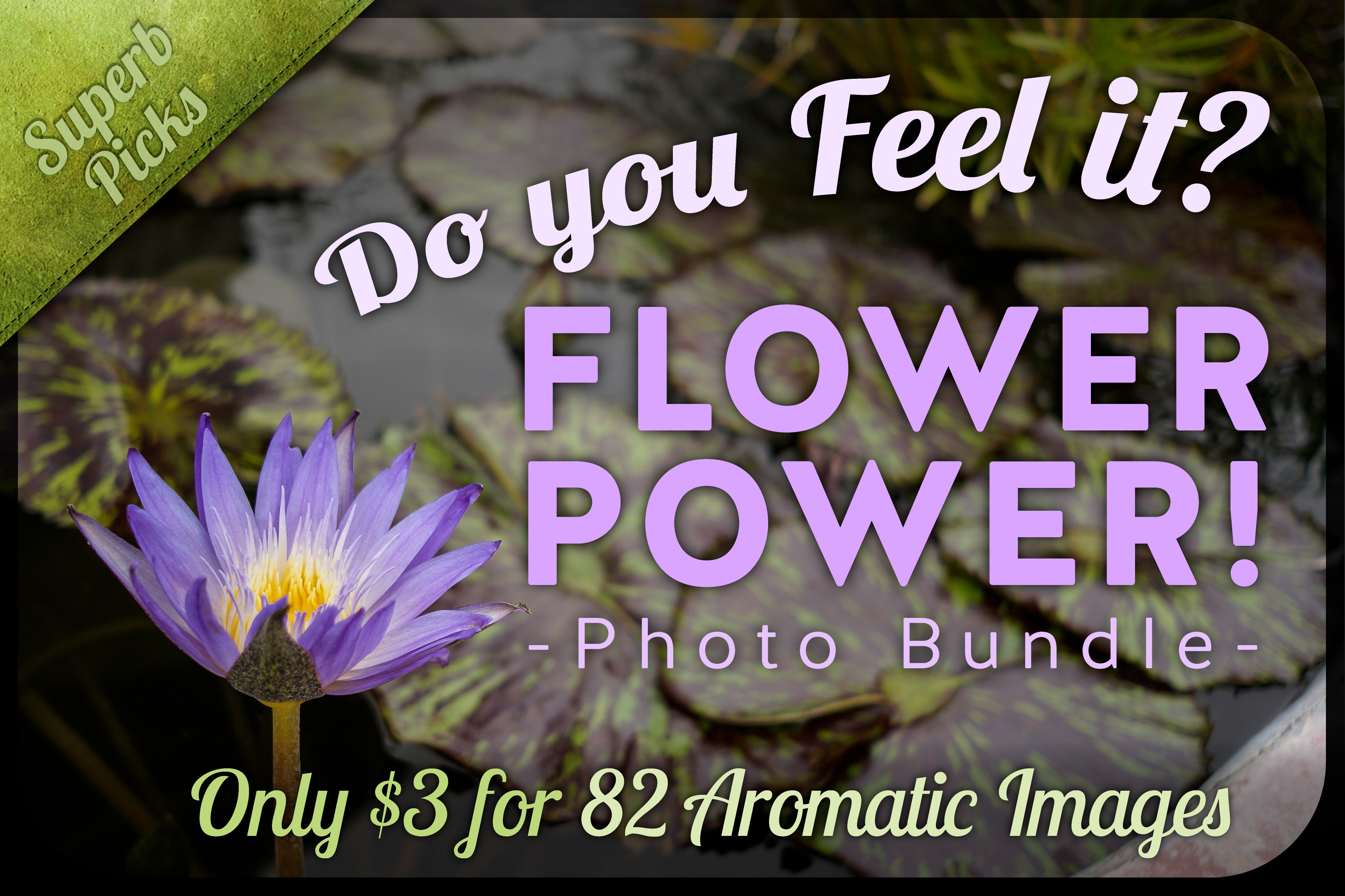 Flower Power Photo Bundle, a Graphic by Curtos Noir Photo