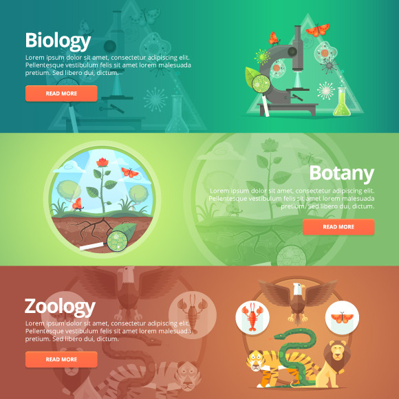 Education and Science banner set, an Animal Illustration by painterr