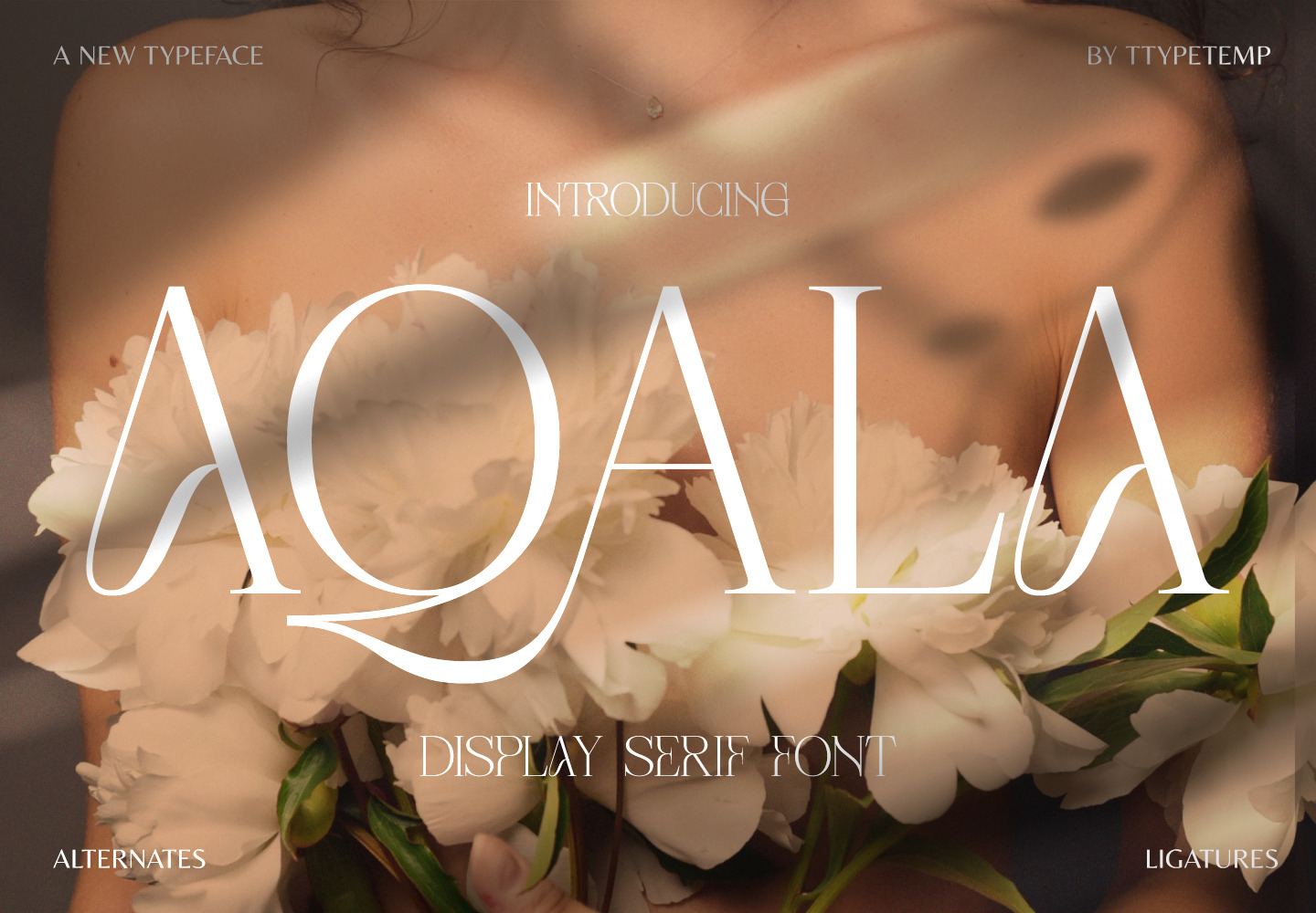 Aqala Display Font, a Serif Font by Typetemp Studio
