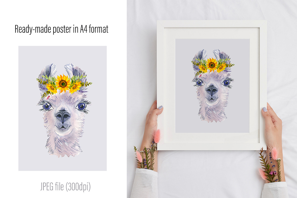 Watercolor Llama Clipart - Bundle, an Animal Illustration by ElenazlataArt