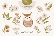 watercolor woodland owl clipart, an Animal Illustration by beatriceviyiwi