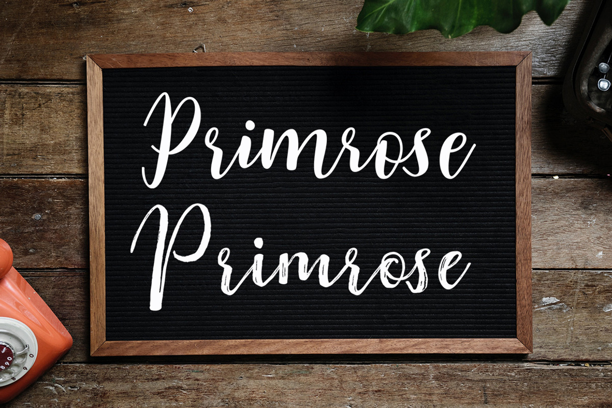 Raspberry Font Duo, a Script Font by Typehill