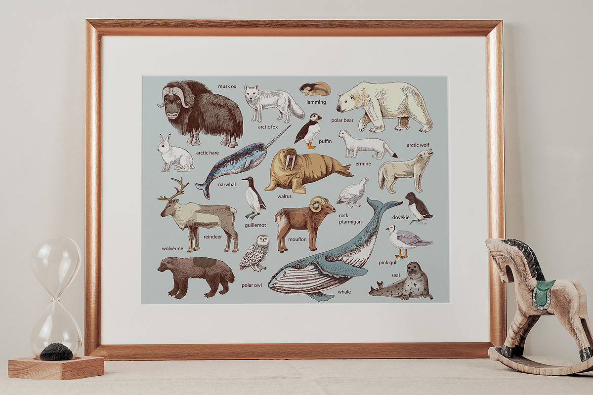 Hand drawn Arctic animals collection, an Animal Illustration by ...