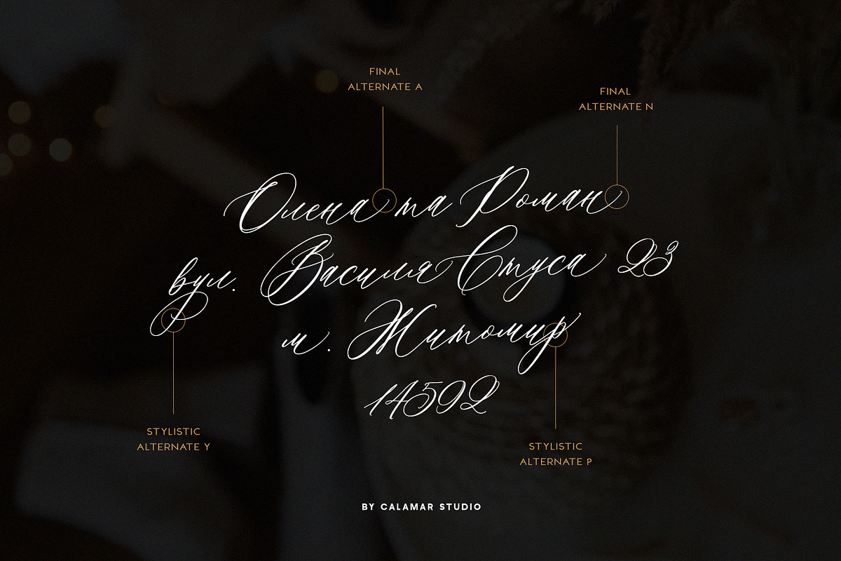 Saint Viet | Calligraphy Font, a Script Font by Calamar Studio