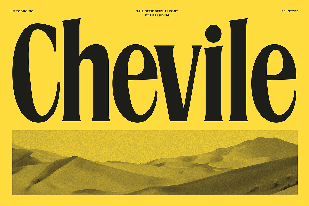 CHEVILE - Bold Elegant Display Font, a Serif Font by Pekotype