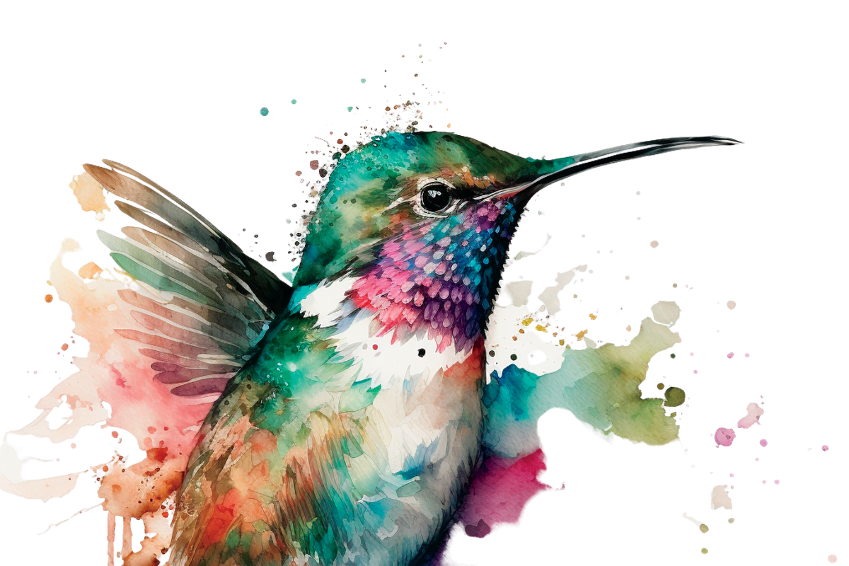 Hummingbird Watercolor Art